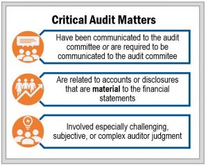 Importance of Critical Audit Matters (CAMs) for Investors | Audit Analytics